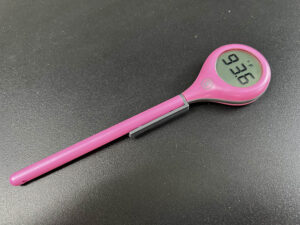 ThermoWorks ThermoPop 2 Review - Smoked BBQ Source