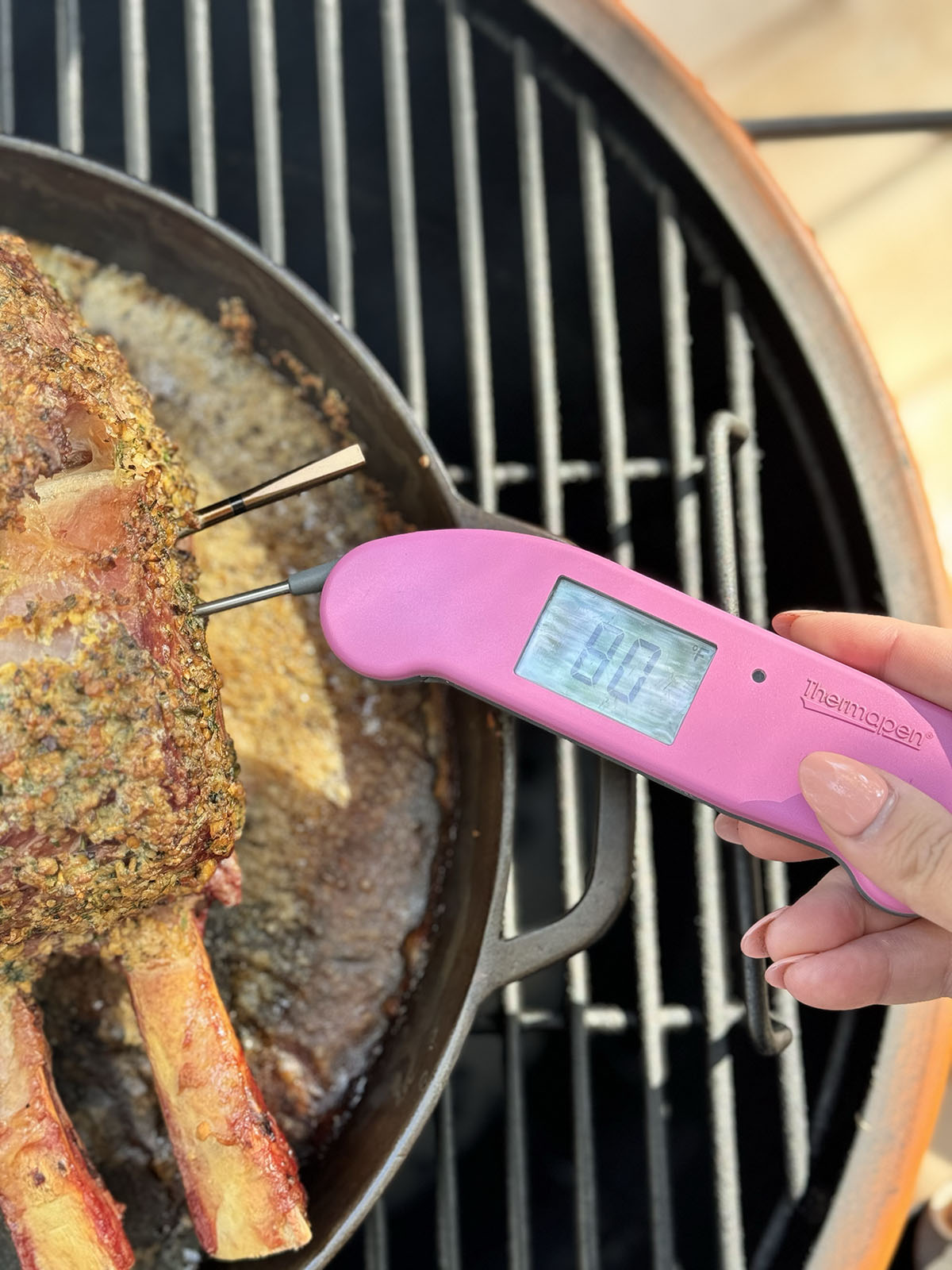 MEATER 2 Plus Review: Does the Newest MEATER Model Live Up to the Hype ...
