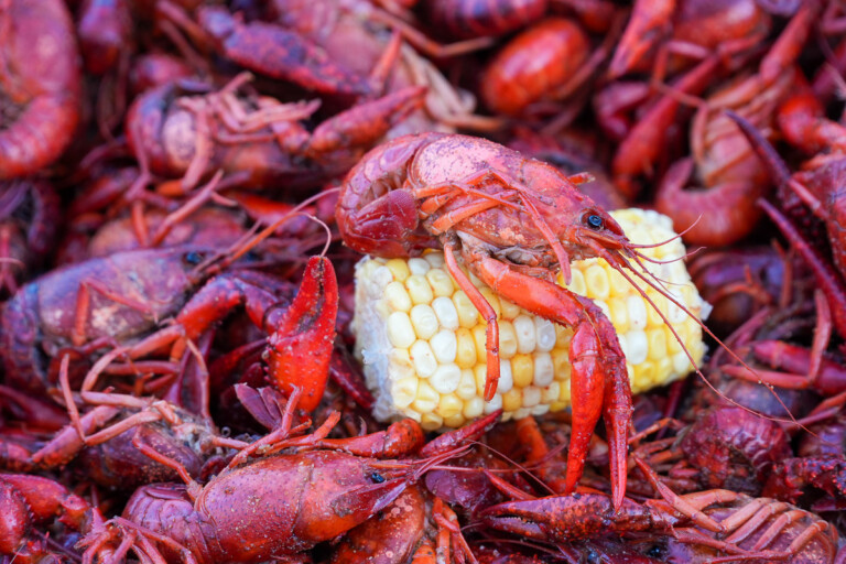 The Ultimate Louisiana Crawfish Boil: Step-by-Step Beginner’s Guide ...